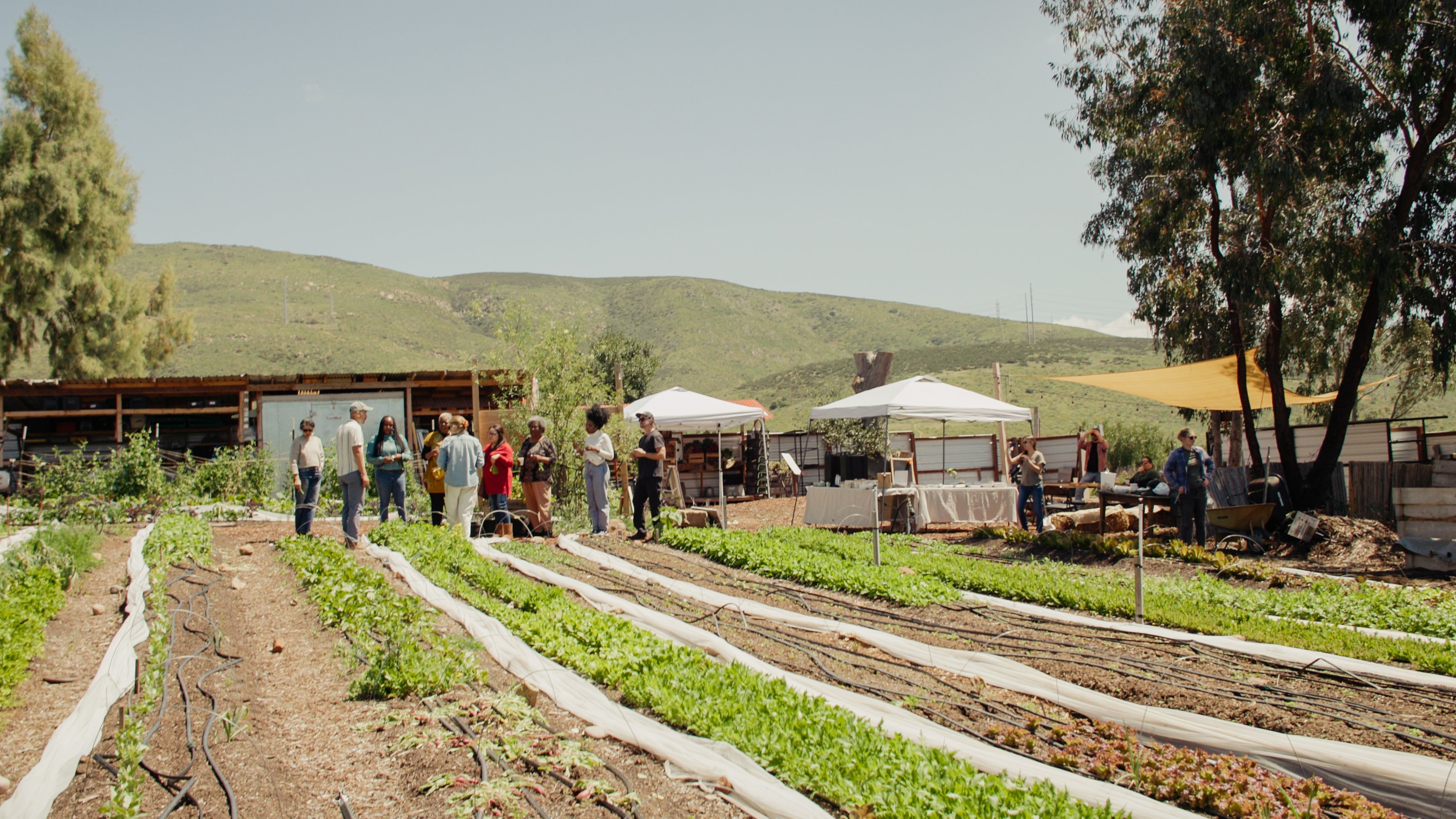 Planting Seeds for a Care Economy with our Local Food Economy Lab